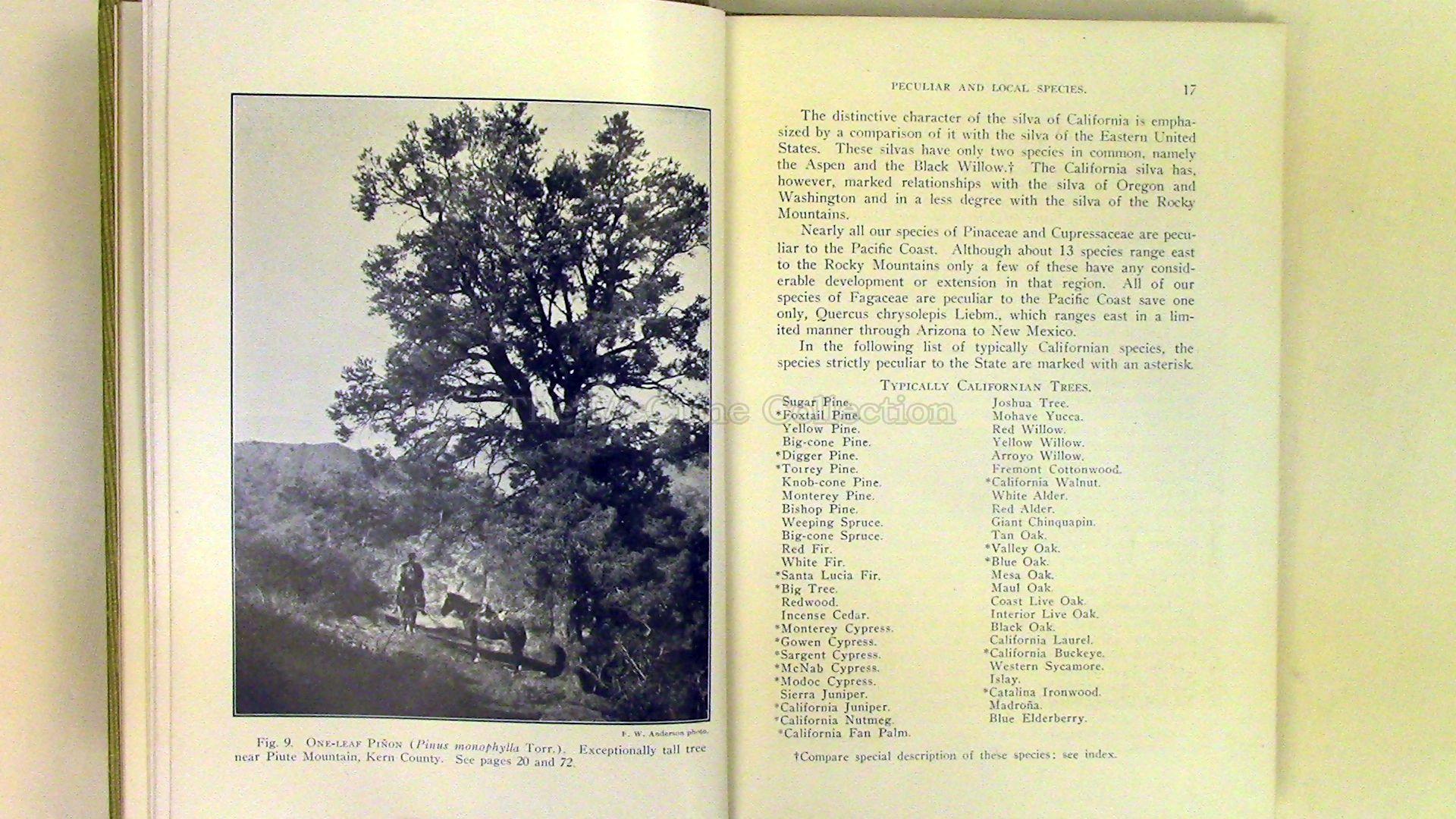 The Trees of California • The McCune Collection
